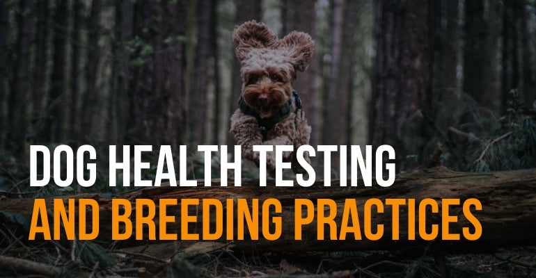 Advancing Canine Health: Dog Health Testing and Breeding Practices ...