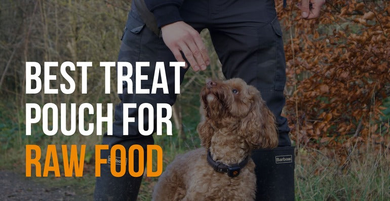 What is the Best Treat Pouch for Raw Food? – Fenrir Canine Leaders