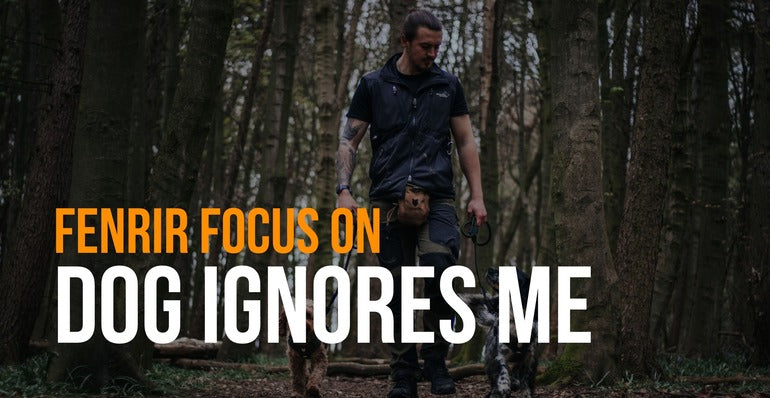 Stop Your Dog From Ignoring You – Fenrir Canine Leaders
