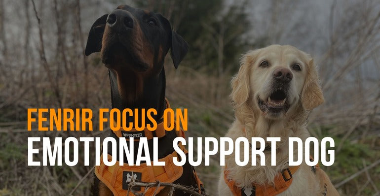 Emotional Support Dogs – Fenrir Canine Leaders