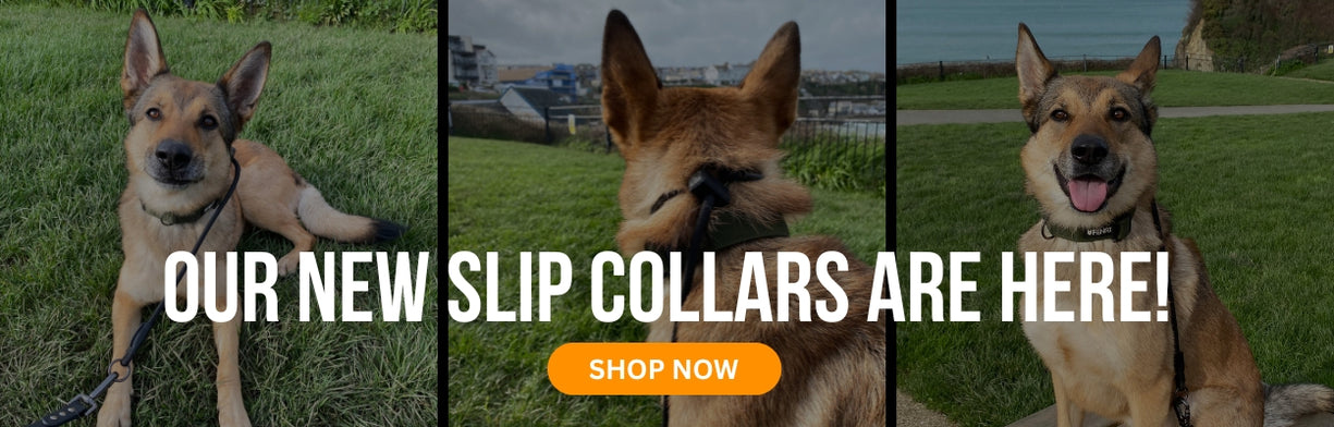 Fenrir Canine Leaders - Industry Leading Dog Products