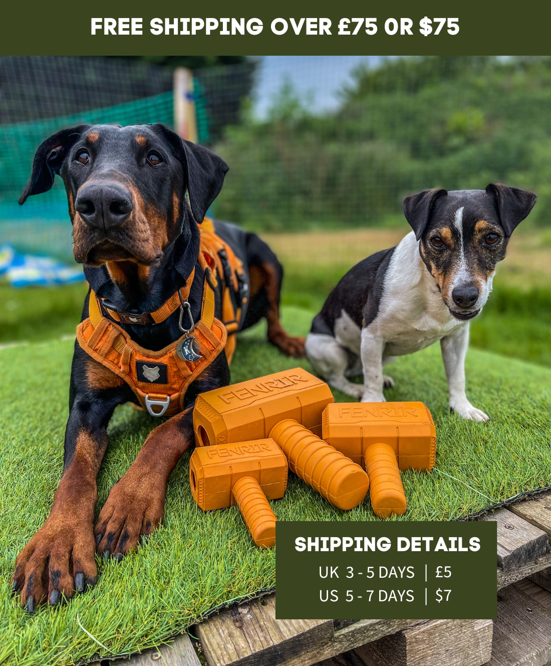 The Fenrir Hammers - Heavy Duty Virtually Indestructible Dog Toys ...