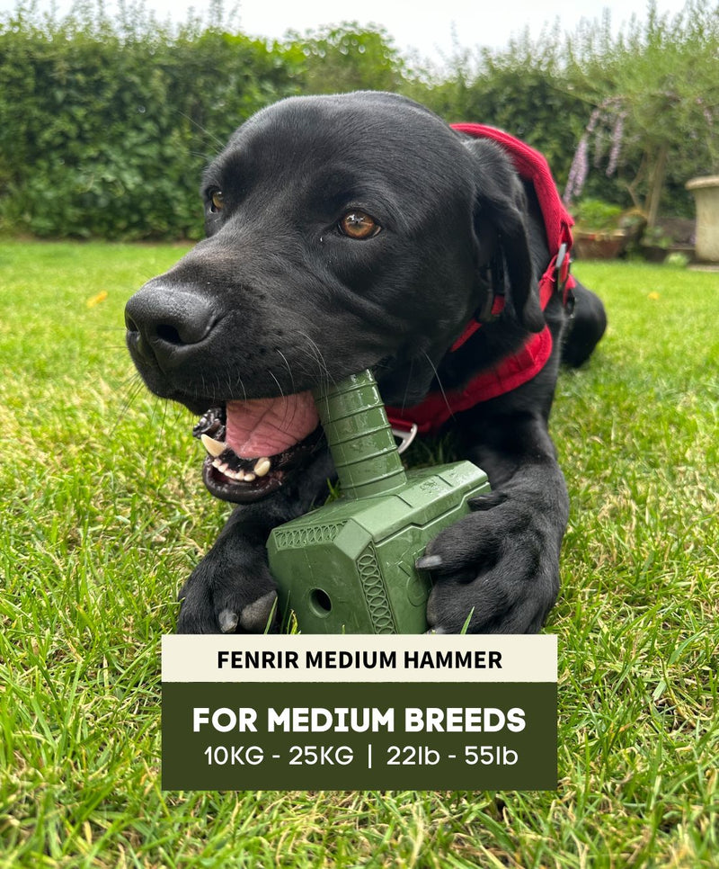 The Fenrir Hammers - Heavy Duty Virtually Indestructible Dog Toys – Fenrir Canine Leaders