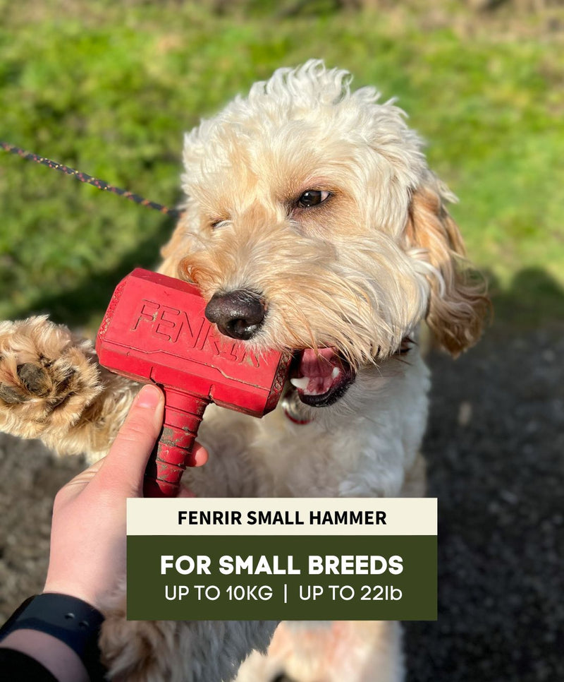 The Fenrir Hammers - Heavy Duty Virtually Indestructible Dog Toys – Fenrir Canine Leaders