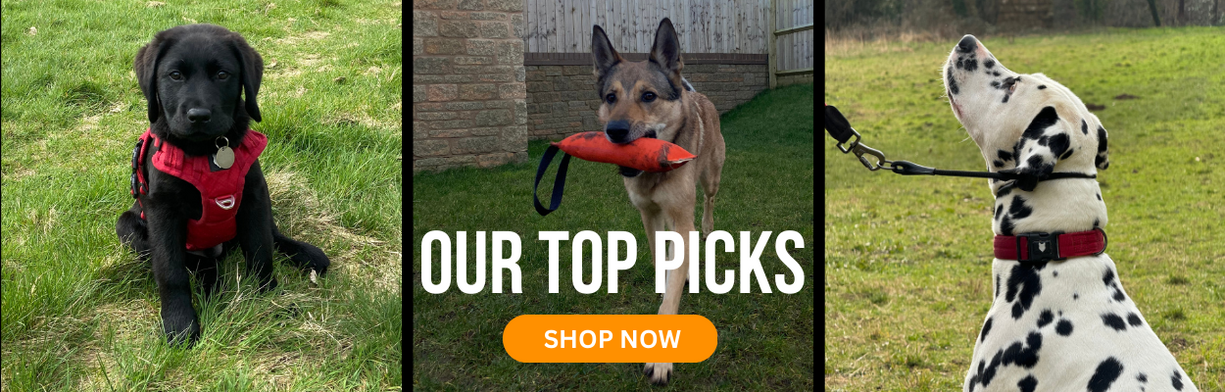 Fenrir Canine Leaders - Industry Leading Dog Products